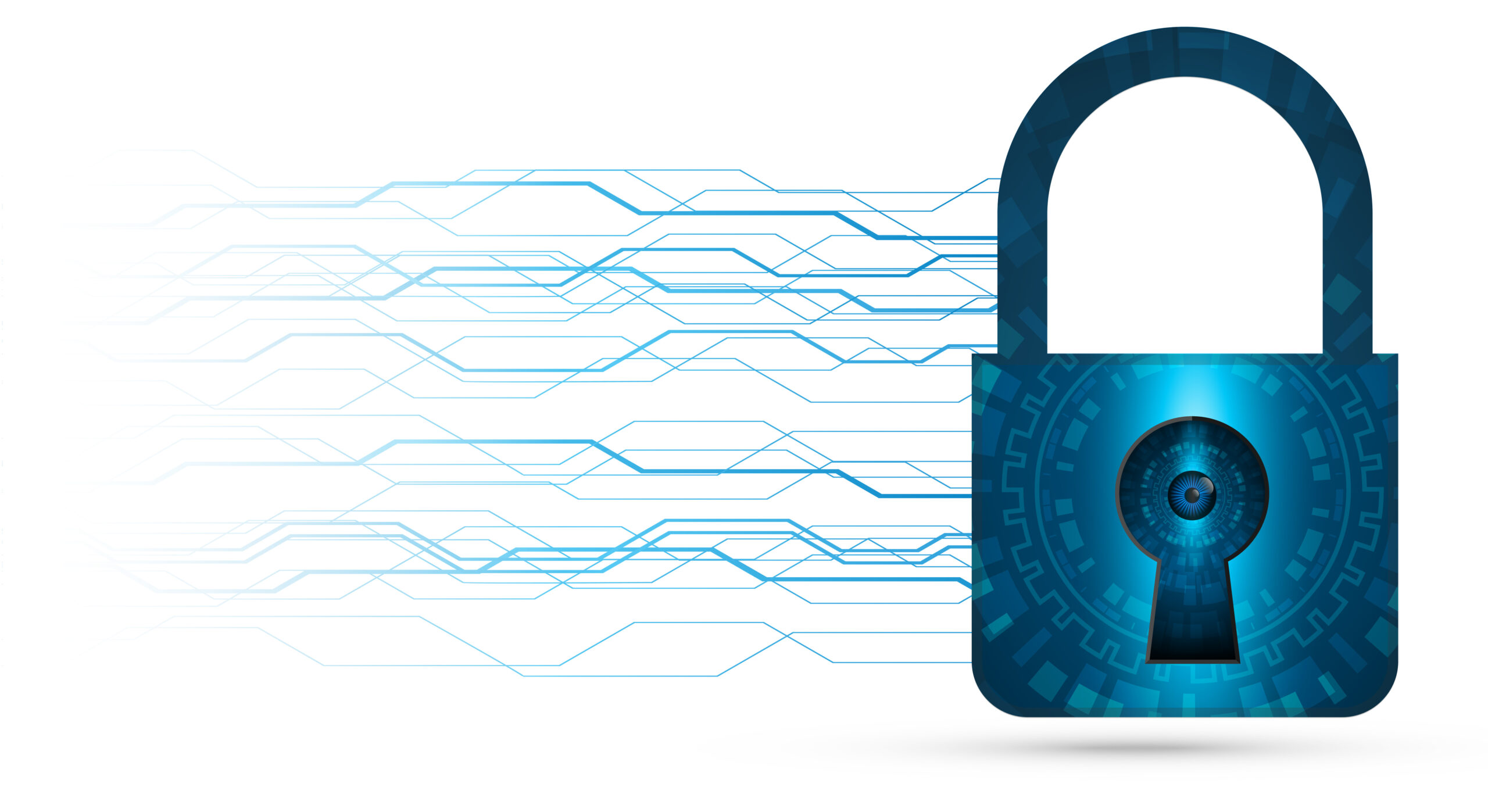 The Importance Of Memory Encryption For Protecting Data In Use
